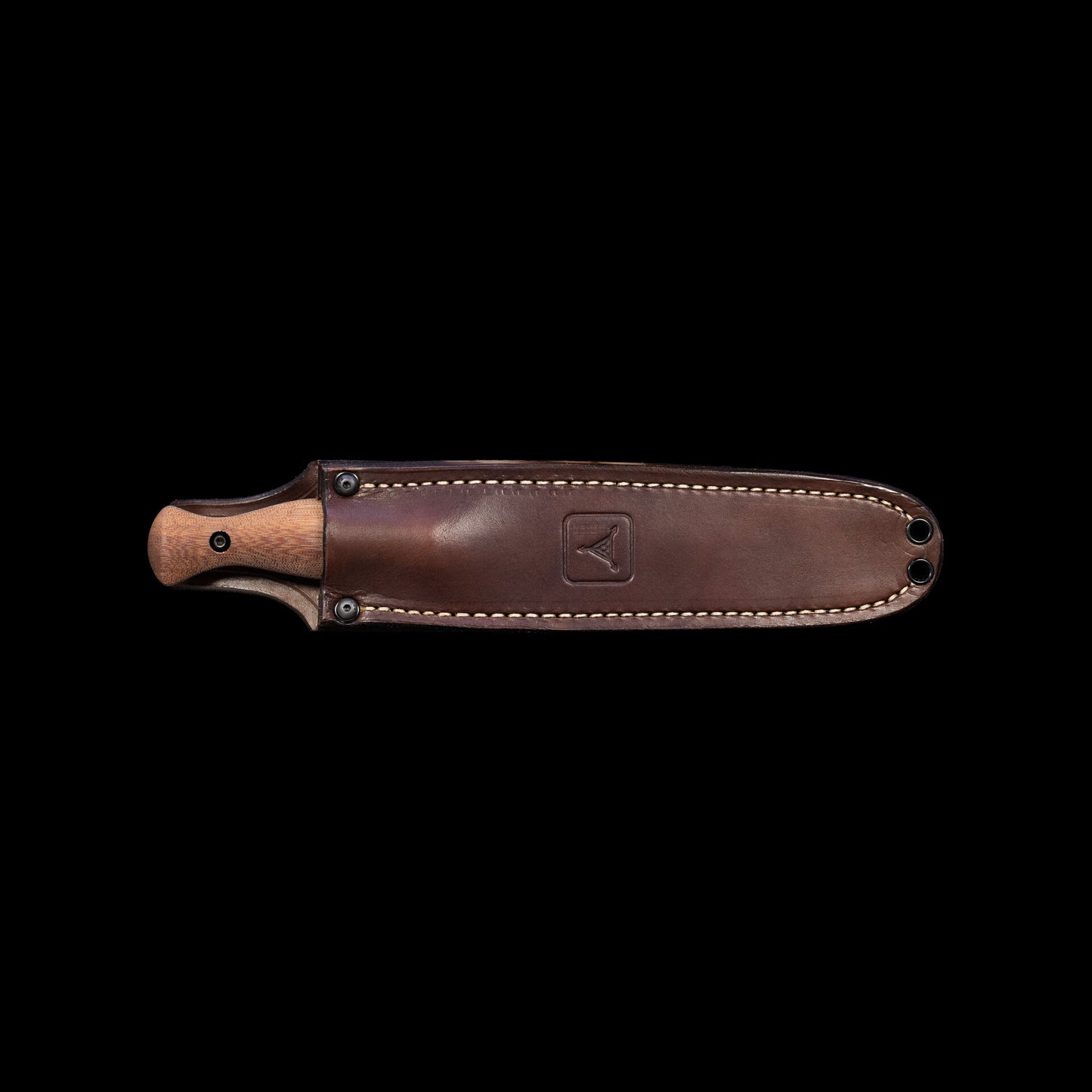 Kramer Partisan 3V TAD Edition | Triple Aught Design